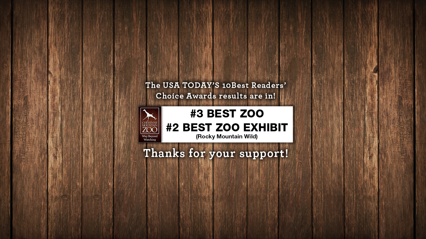 Cheyenne Mountain Zoo Voted #3 Best Zoo in North America by USA TODAY ...