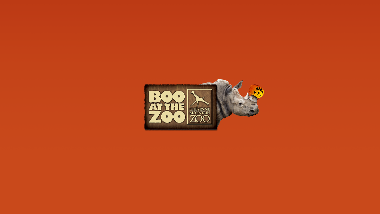 DON’T MISS THE LAST NIGHT OF BOO AT THE ZOO, ON HALLOWEEN NIGHT - CMZoo