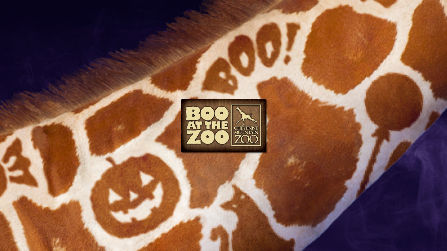 BOO AT THE ZOO STARTS FRIDAY, OCTOBER 20 - CMZoo