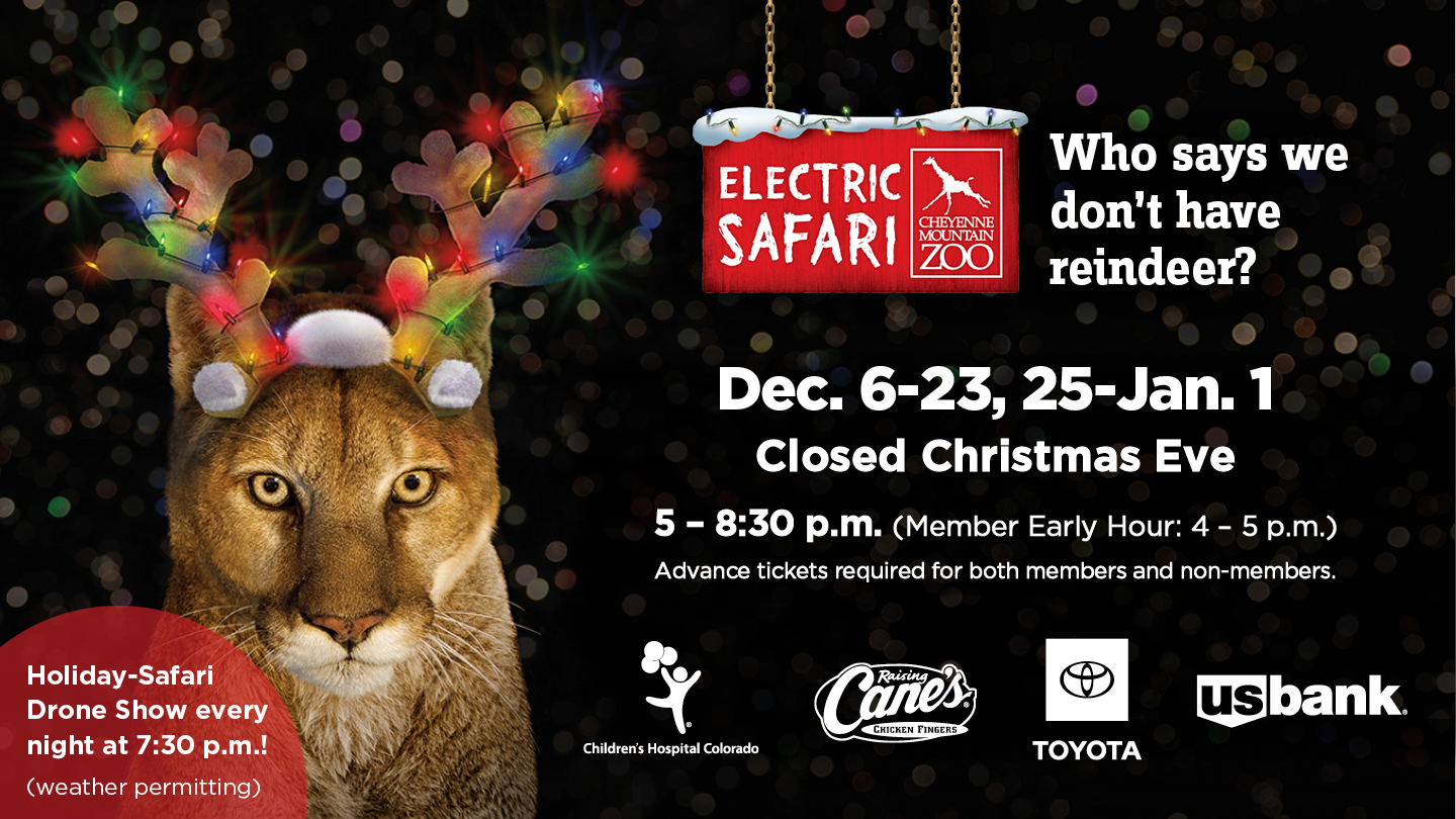 Cheyenne Mountain Zoo’s Electric Safari Nominated for Best Zoo Lights ...