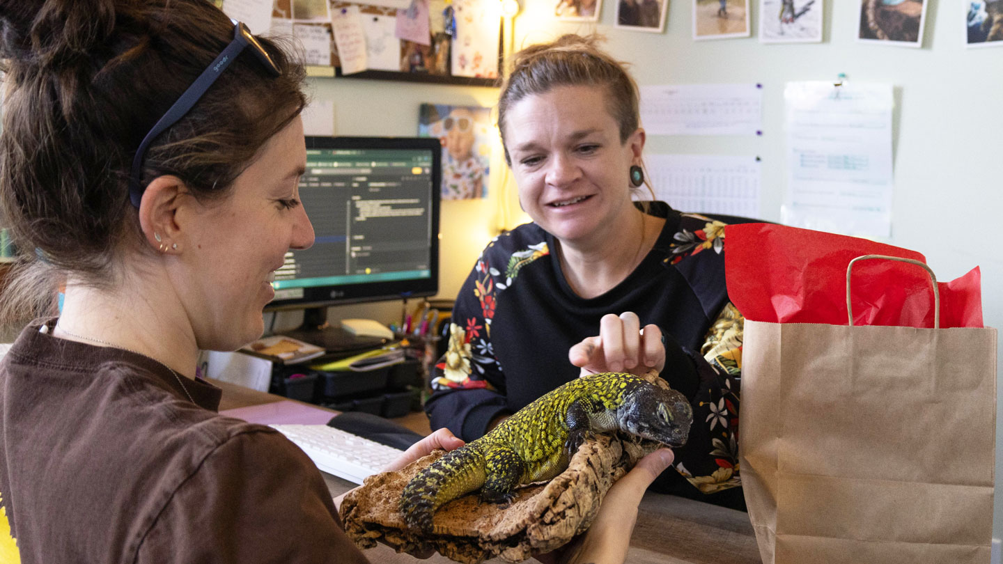 Animal Grams - CMZoo