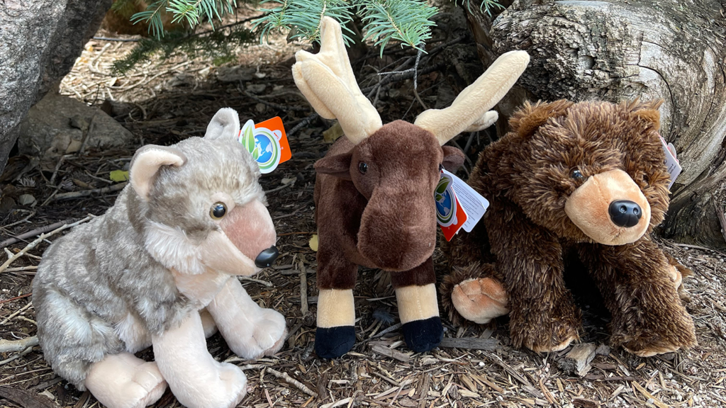 Be Everyone's Favorite Gift Giver with These Unique CMZoo Present Ideas ...