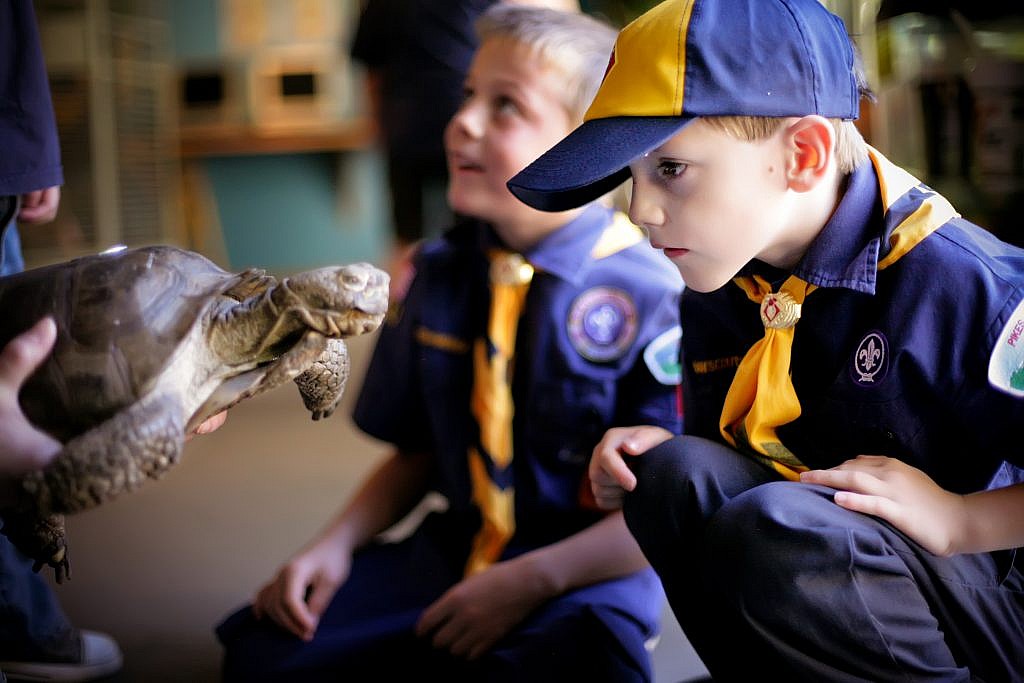 Saturdays for Scouts - CMZoo