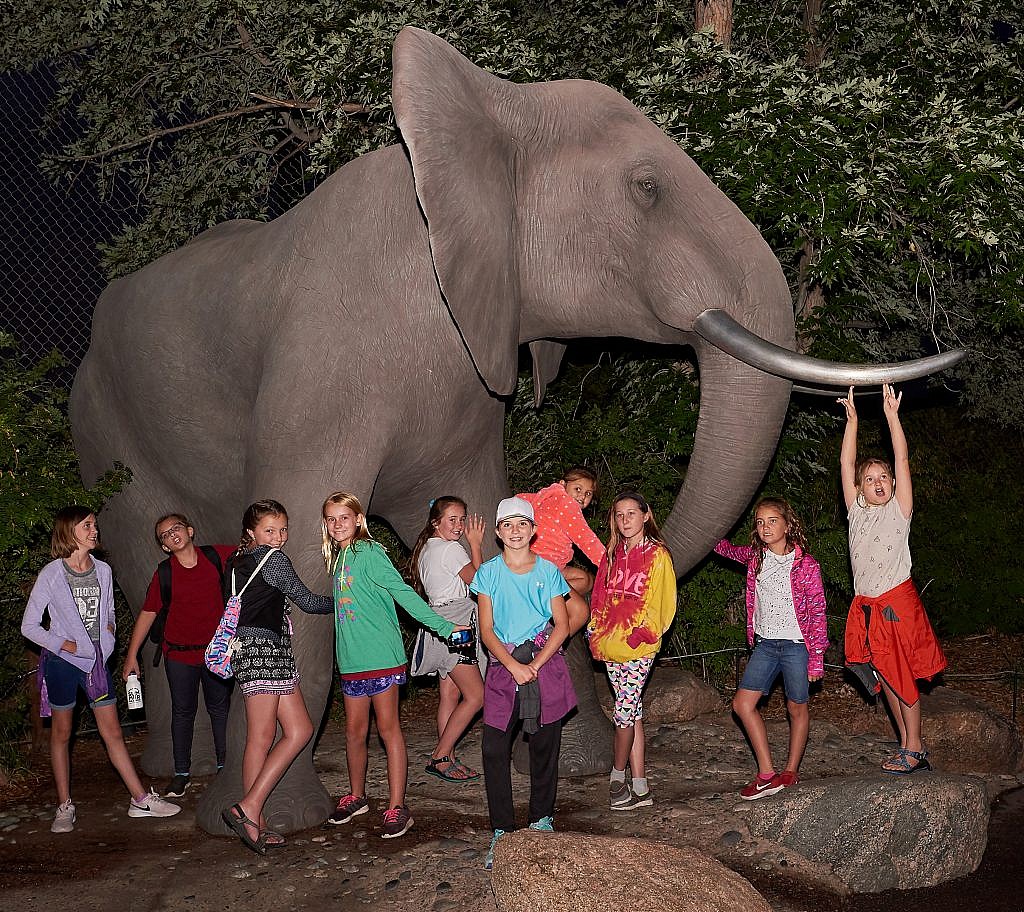 Camps & Classes - CMZoo