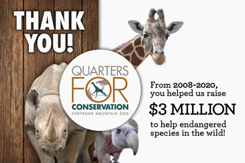 Conservation - CMZoo