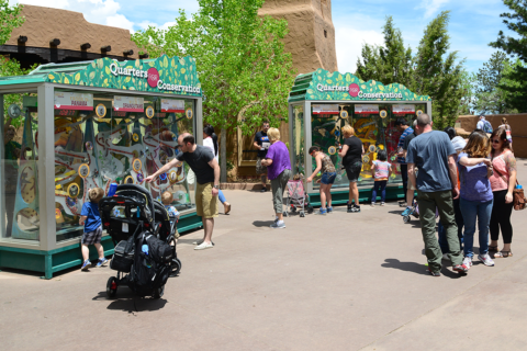 Welcome to Cheyenne Mountain Zoo - CMZoo