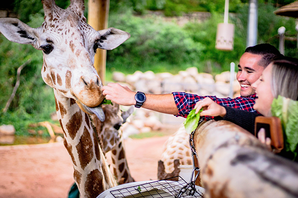 Getting Started with Your Membership - CMZoo