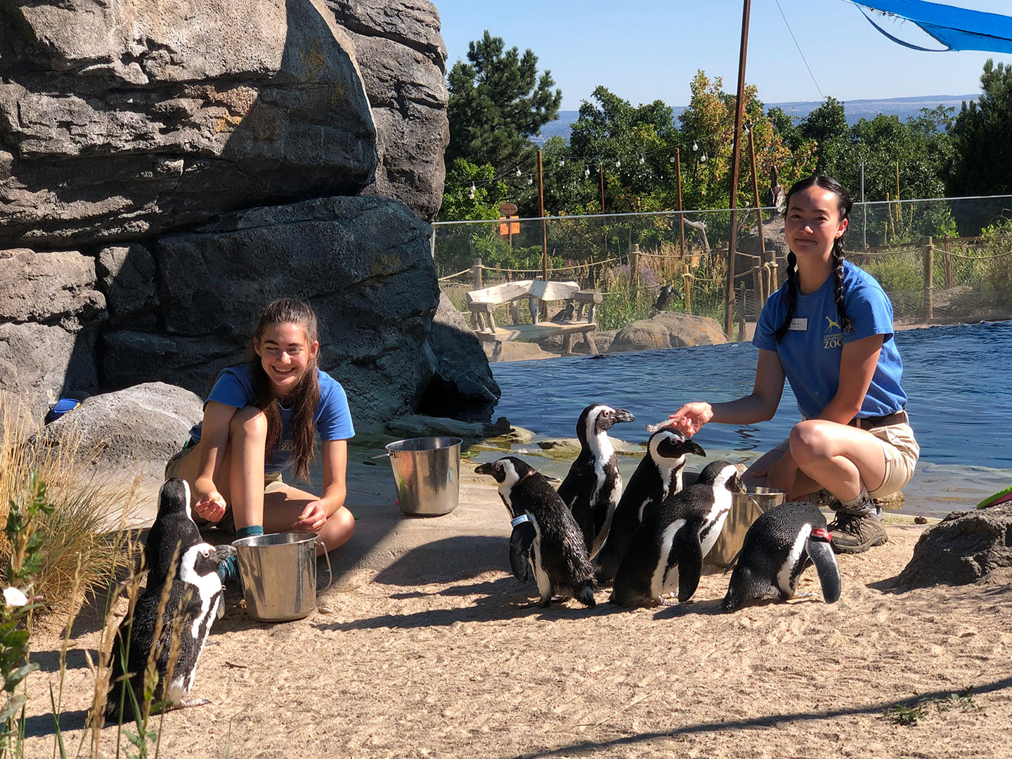 Inspiring and Empowering Future Conservationists: Applications for CMZoo's Wildly Popular Teen ...