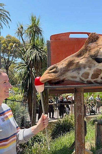 Keeper Diaries: Traveling to Australia to Share and Absorb Giraffe Care ...