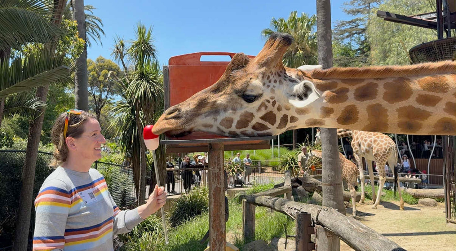 Keeper Diaries: Traveling to Australia to Share and Absorb Giraffe Care ...