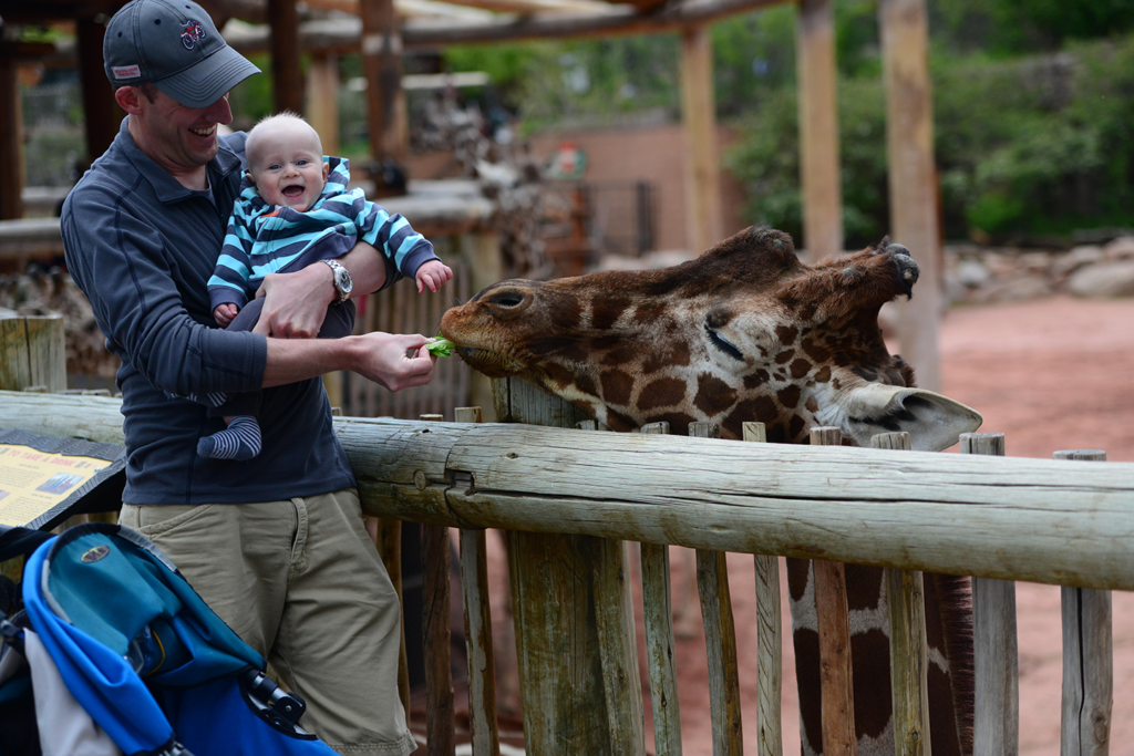 20 Things to do at CMZoo in 2020 - CMZoo