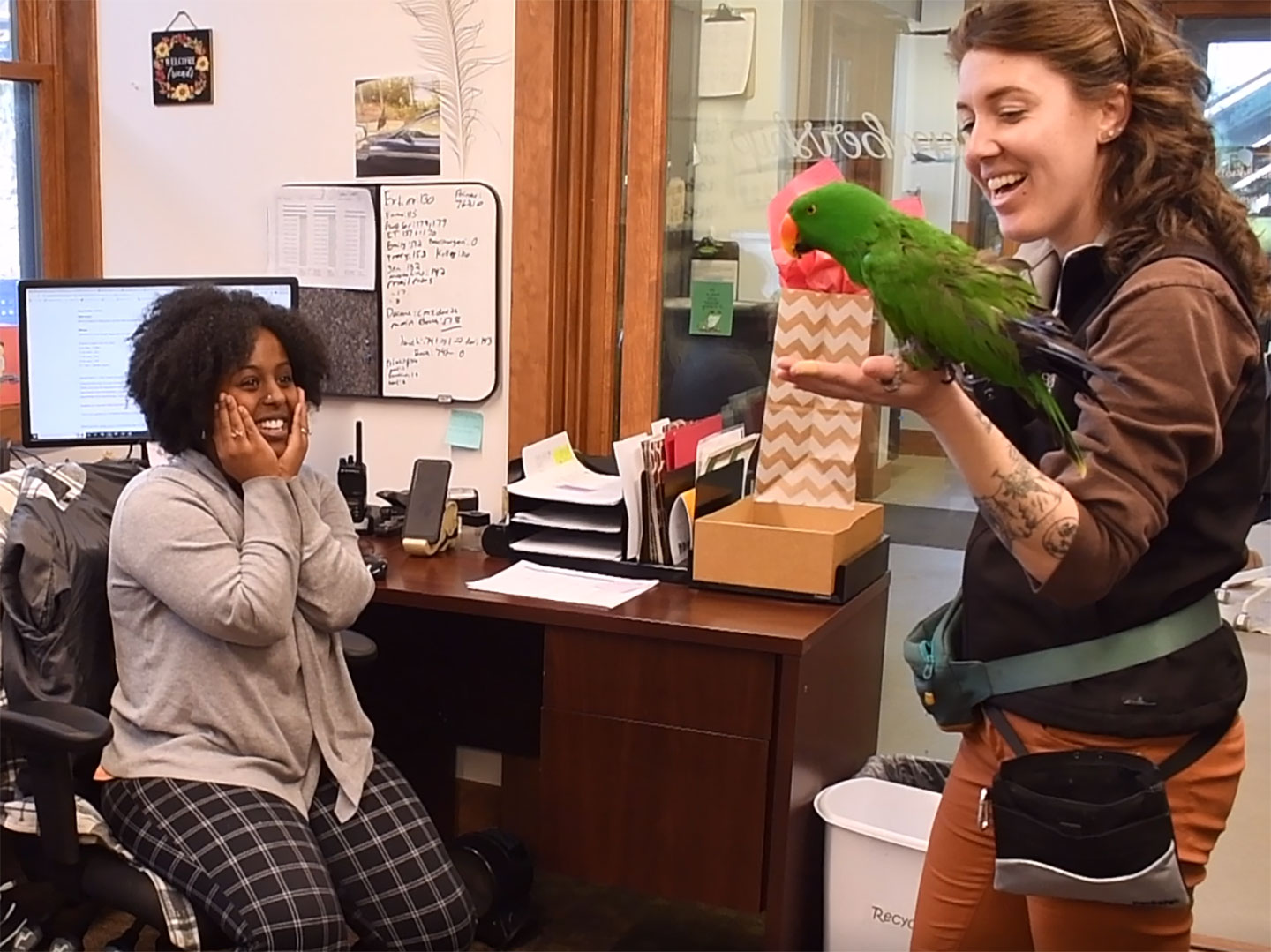 CMZoo Animals Brighten Days, Celebrate Milestones and Holidays with ...