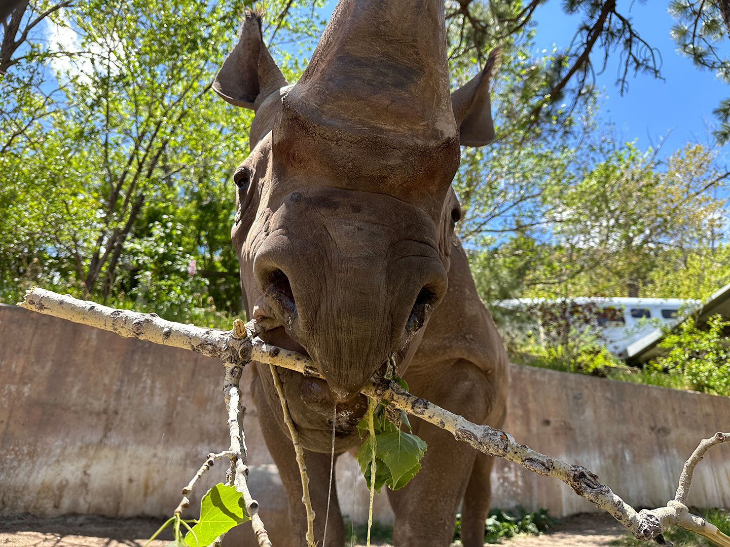 CMZoo Invests in Full-Time Curator of Environmental Enhancements - CMZoo