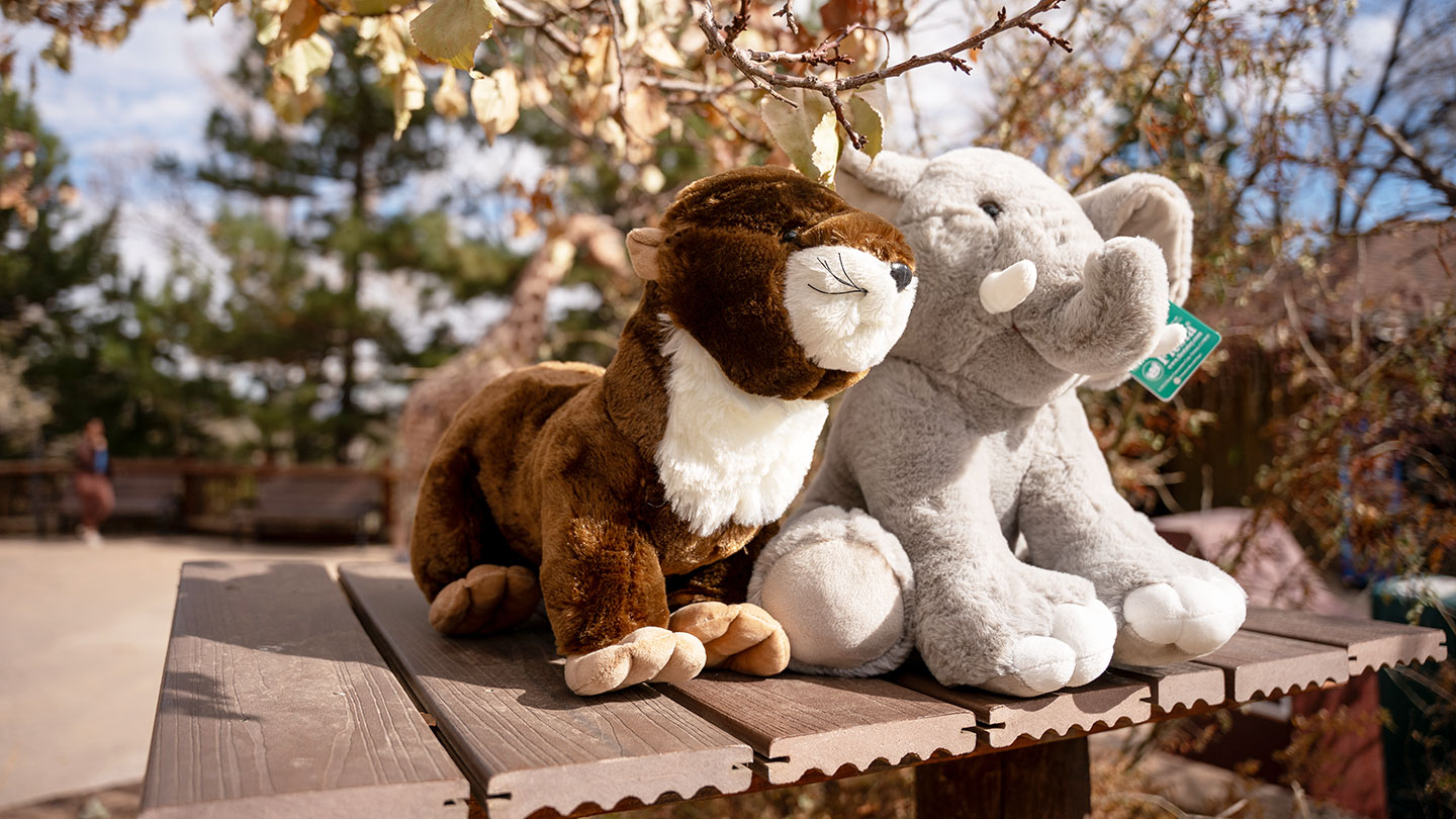 Stock Up on These Unique Gifts for a Good Cause - CMZoo