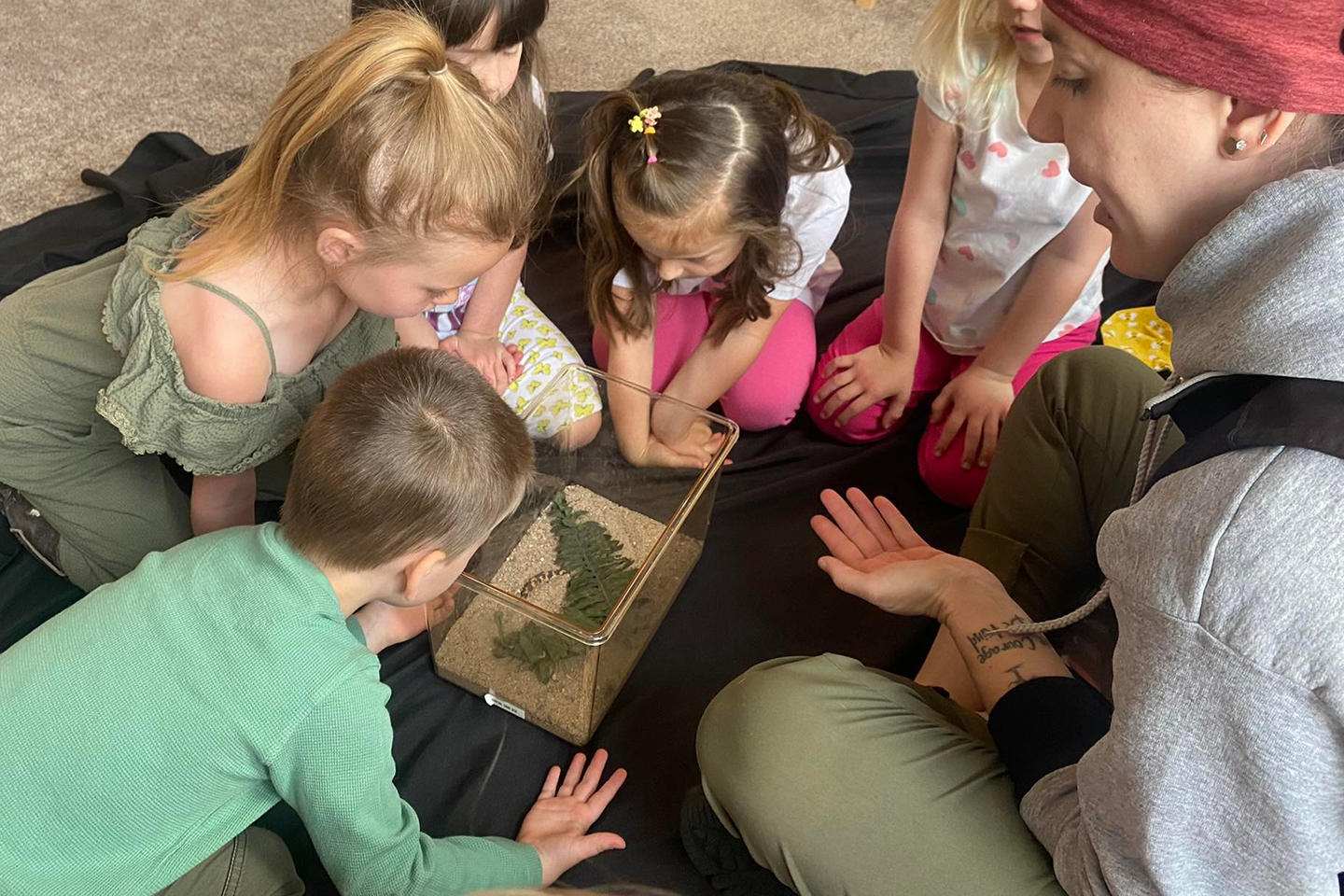 ZOOMobile Pre-K & Kindergarten Program - CMZoo