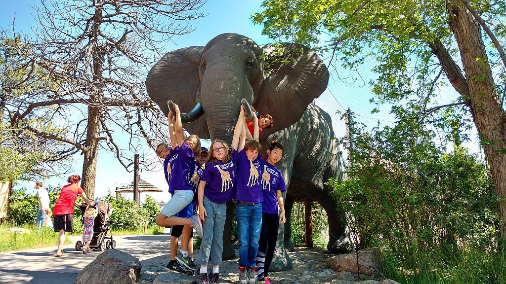 Grades 6 - 8 - CMZoo