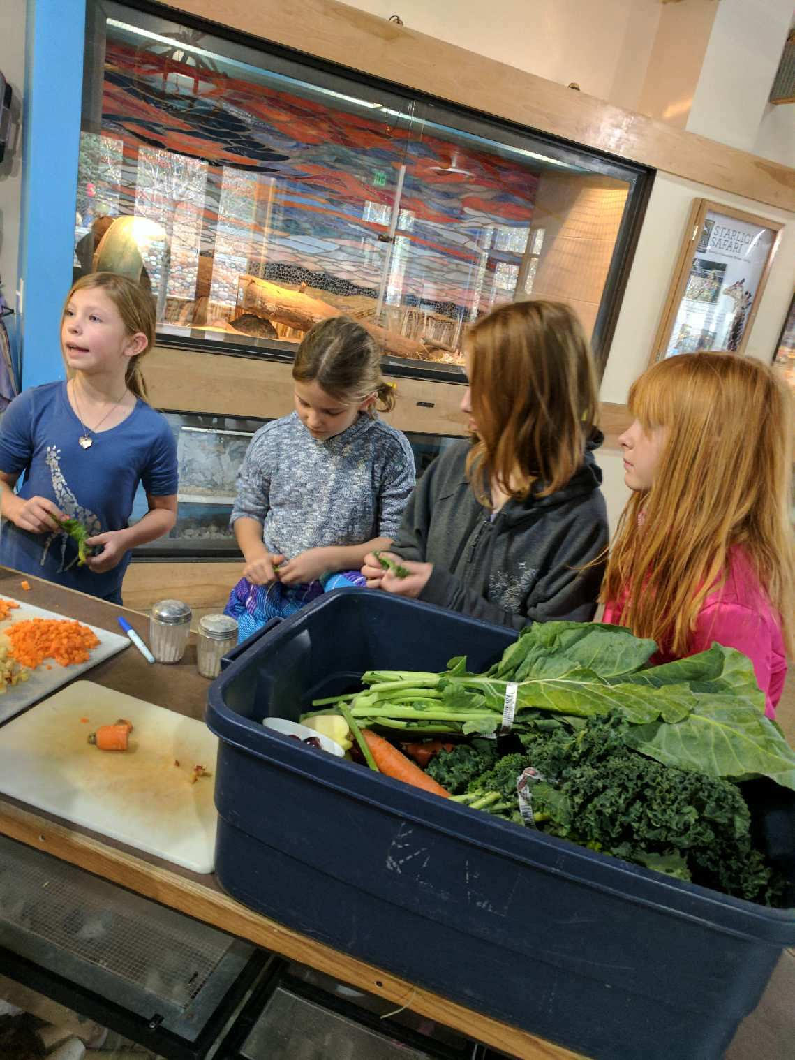 Thanksgiving Break Camps - CMZoo