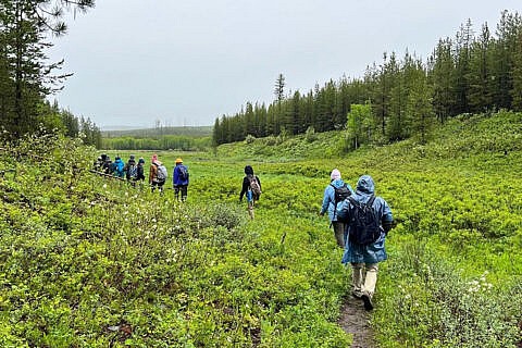 Teen Programs - CMZoo