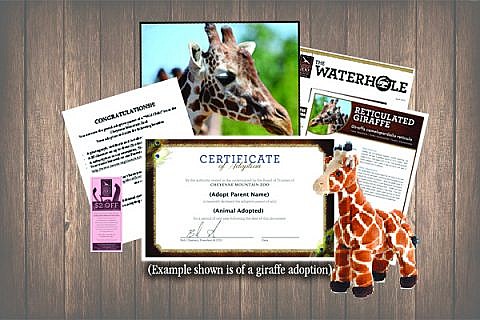 Traditional Adoptions - CMZoo