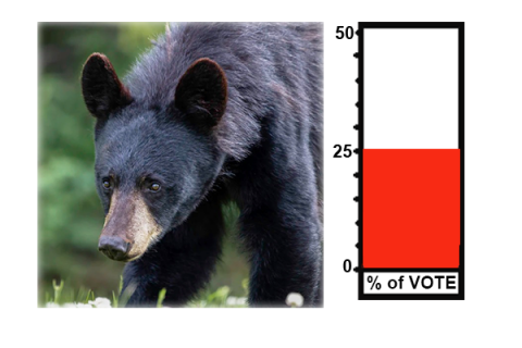 Protecting the Future Together - CMZoo