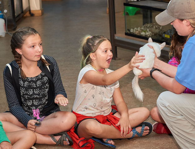 Plan Your Own Event - CMZoo